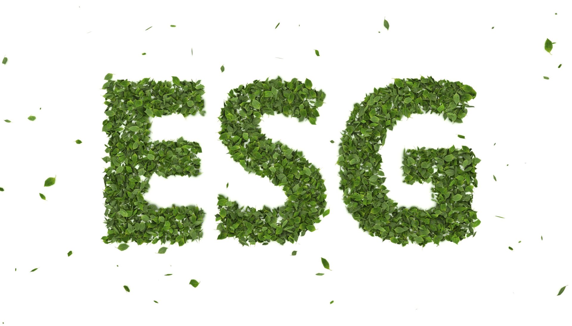 esg-platform-платформа
